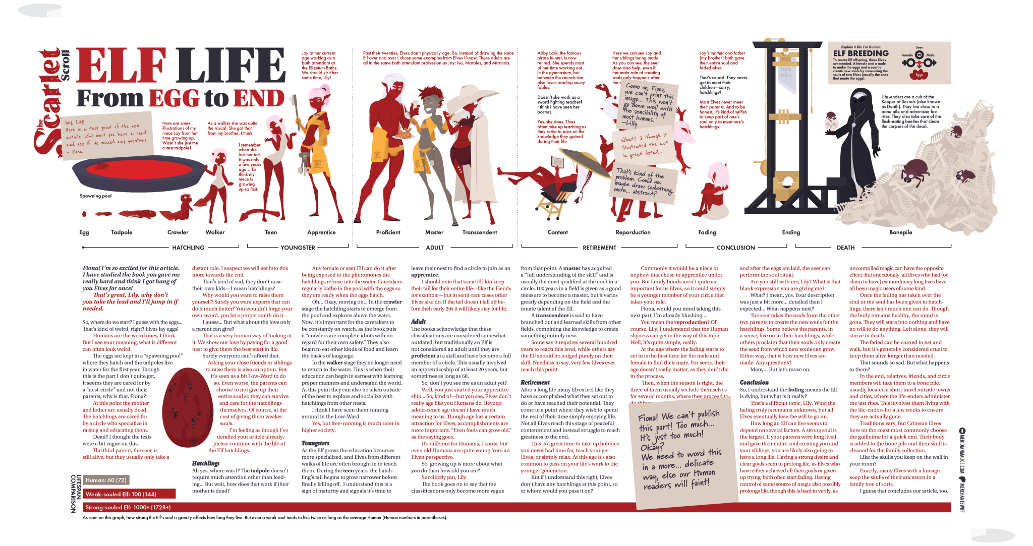 The Elven Life Cycle - From Egg to End - Meridian Malice